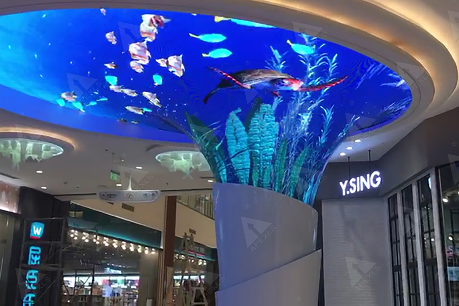 Customized Fish-tank Led Display